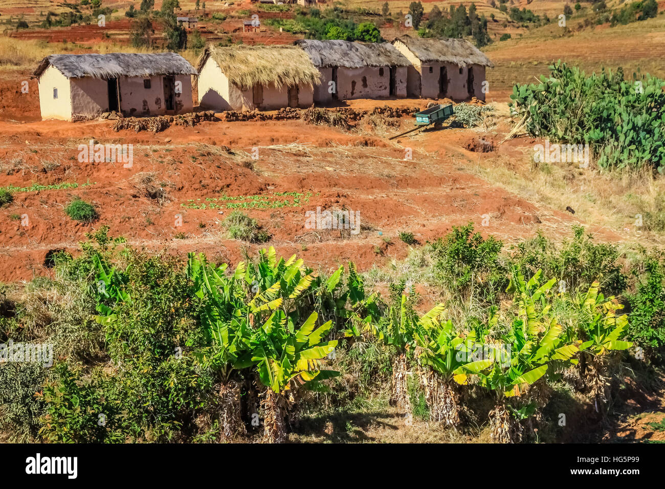 Row of four primitive huts in central plateau in Madagascar Stock Photo ...