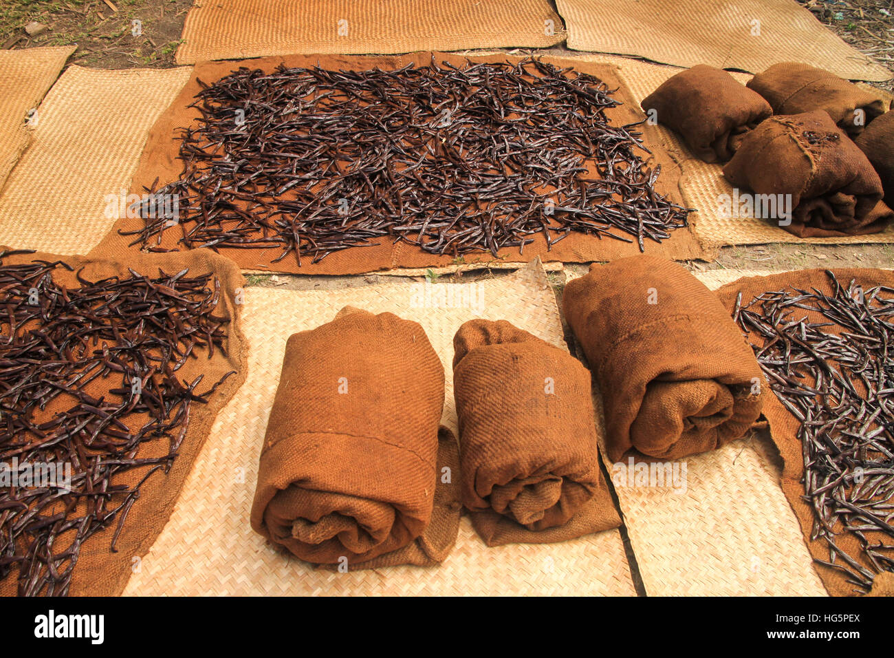 Vanilla pods collected and left to dry on the sun Stock Photo - Alamy