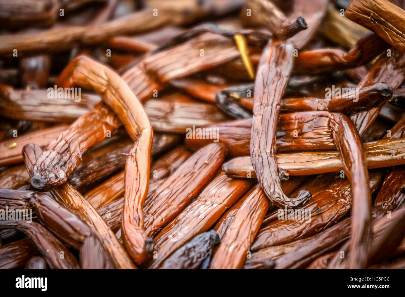 Vanilla pod drying hi-res stock photography and images - Alamy