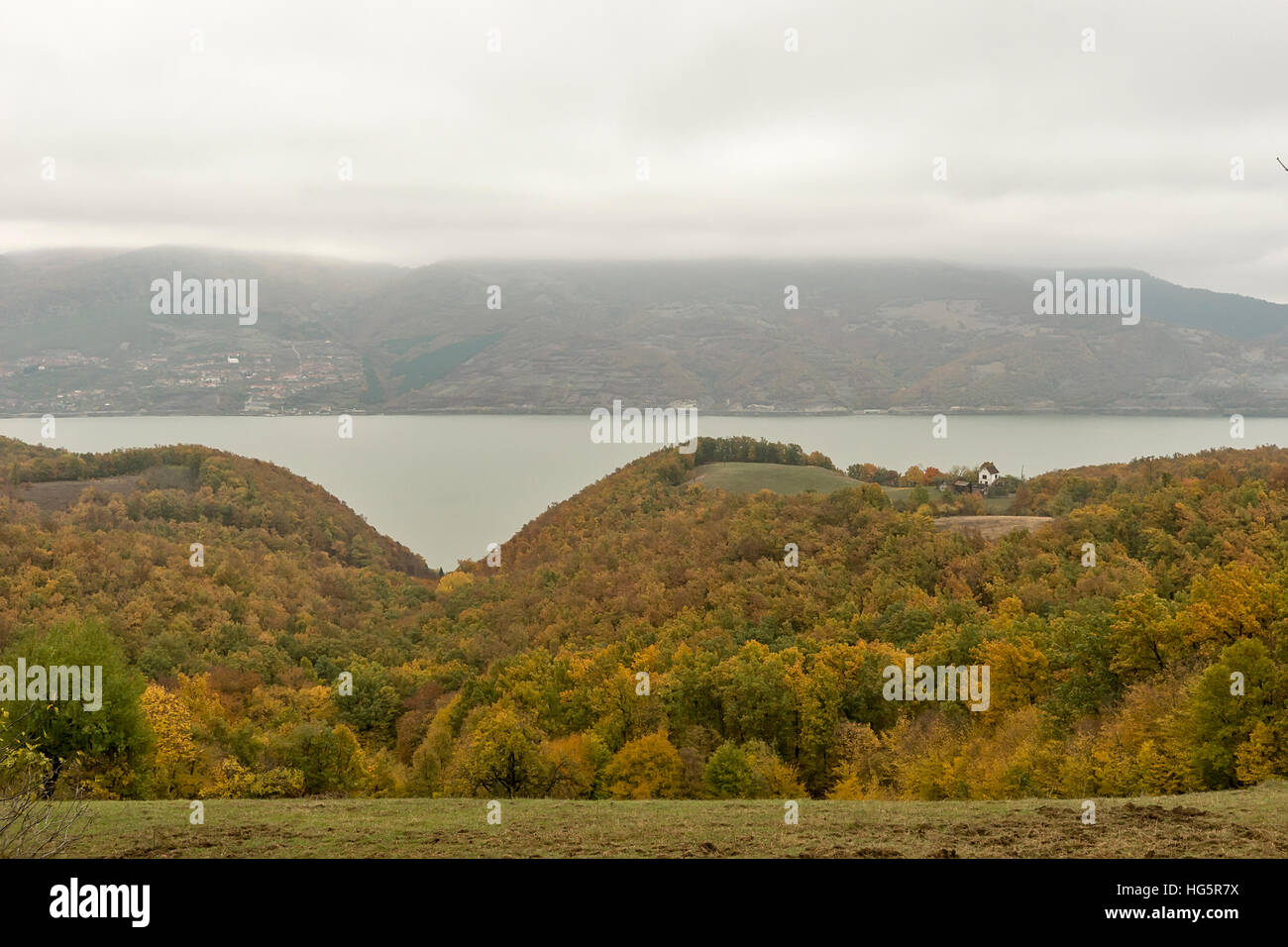 Autumn day in the woods with golden brown leaves near Danube river in ...