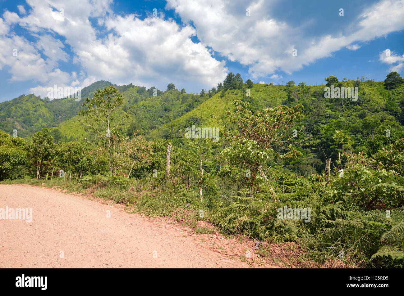 Landscapes around the highlands of Taulabe and Cerro Azul national park ...