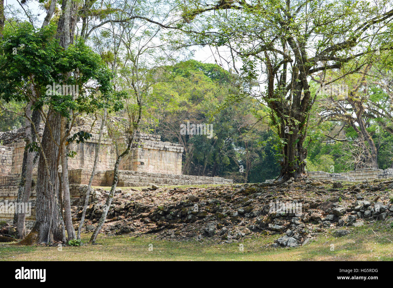 Some of the ancient structures at Copan archaeological site of Maya ...