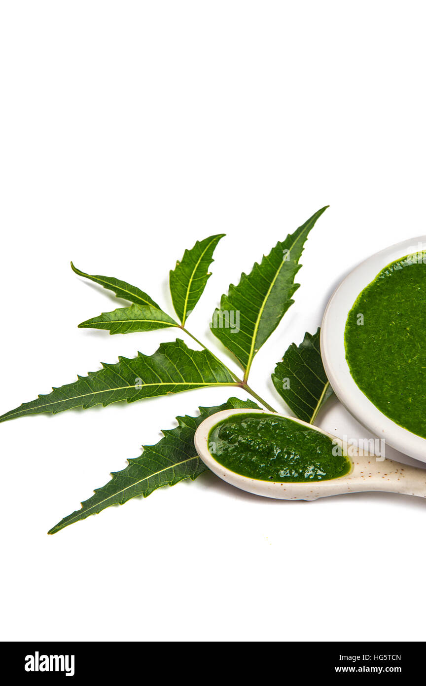Medicinal Neem leaves with neem paste in spoon and plate on white ...