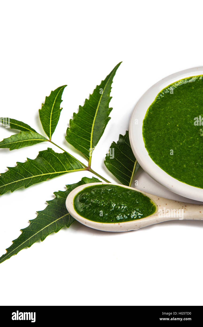 Medicinal Neem leaves with neem paste in spoon and plate on white ...