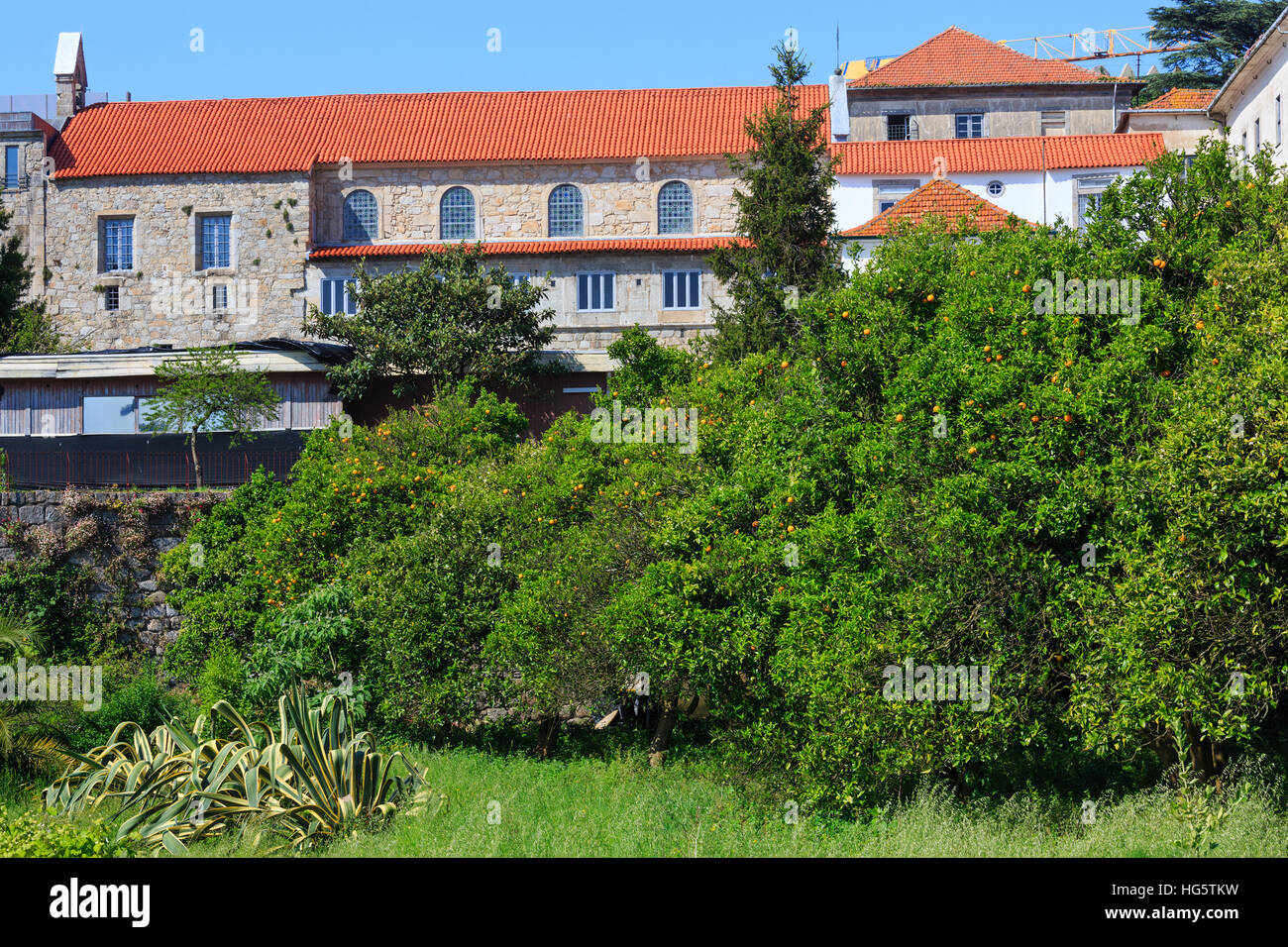 Porto city spring view with tangerine tree in front (Portugal Stock ...