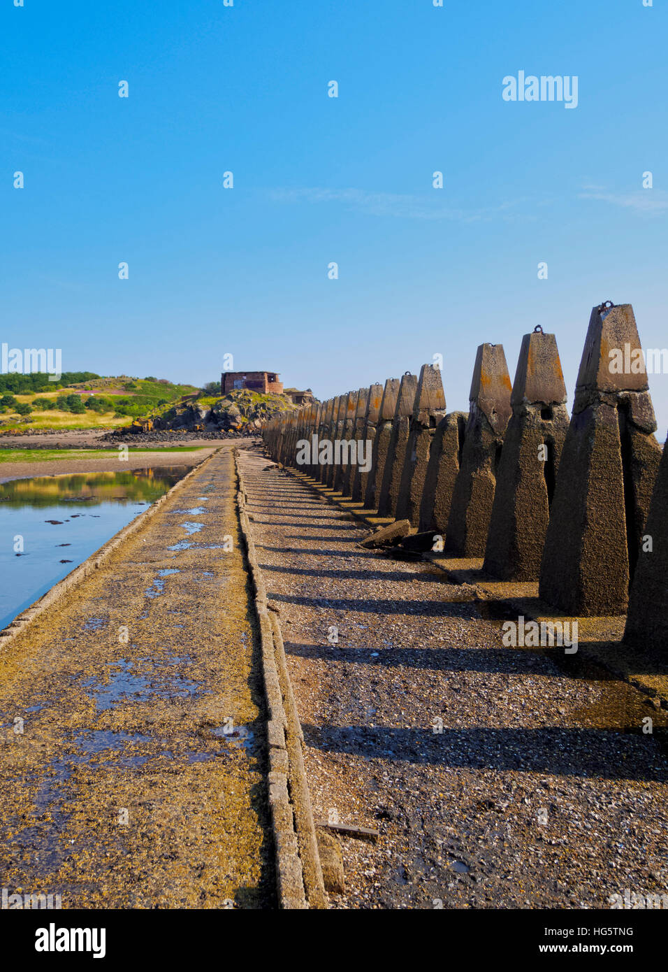 UK, Scotland, Lothian, Edinburgh Area, Cramond, Causeway and Pylons ...