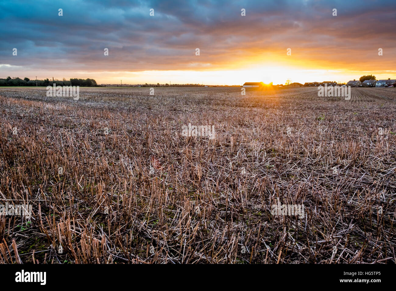 Farm Landscape at Sunset Stock Photo - Alamy