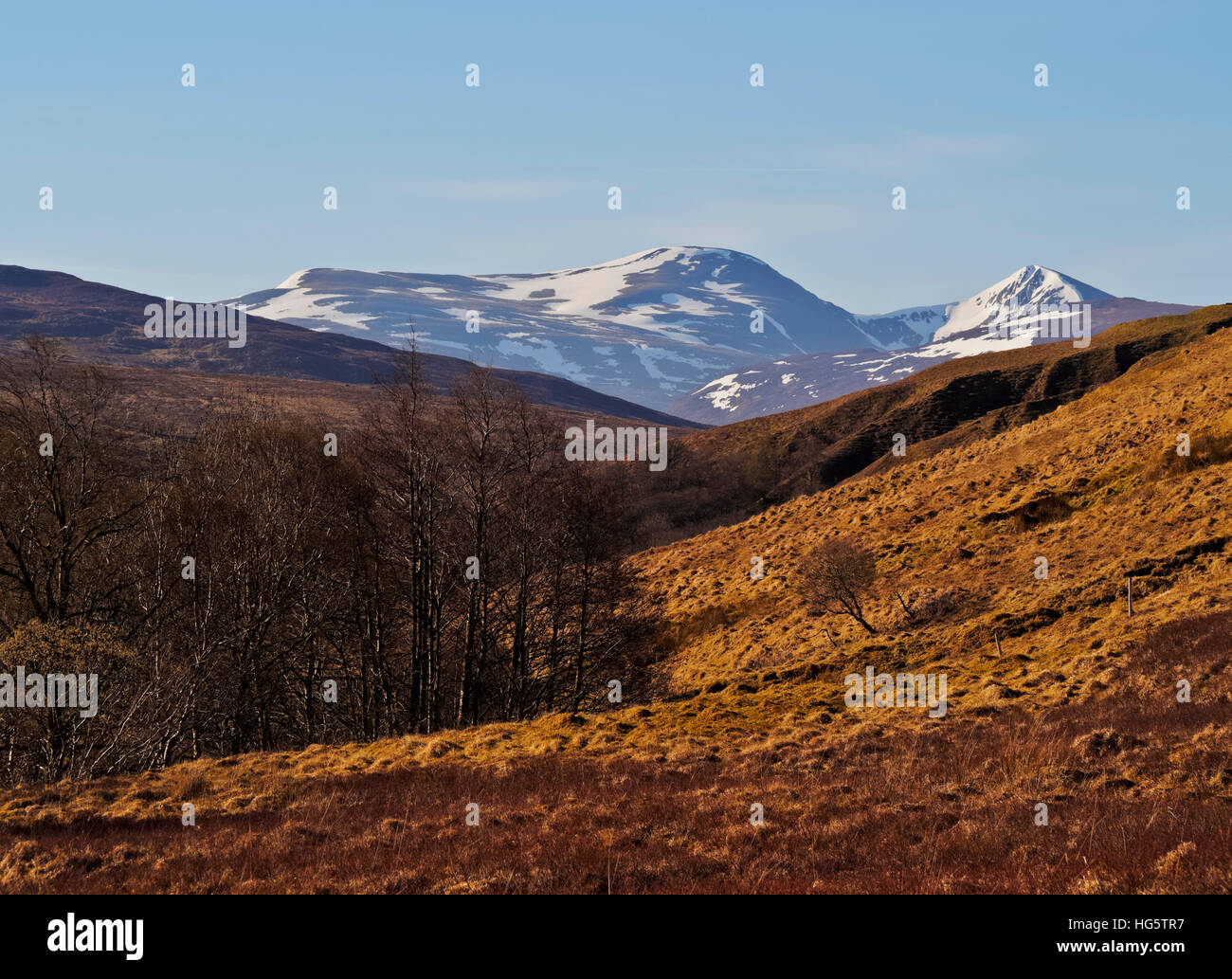 UK, Scotland, Highlands, Roy Bridge, View towards Stob Ban and the Grey ...