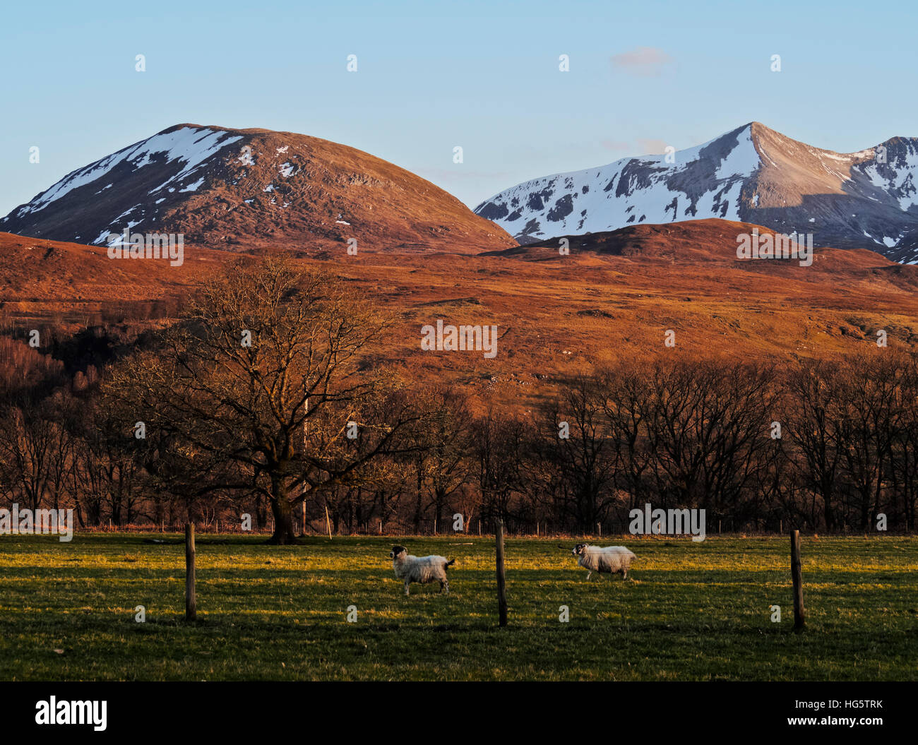 Roybridge High Resolution Stock Photography and Images - Alamy