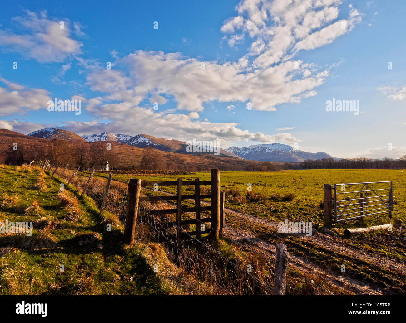Roybridge hi-res stock photography and images - Alamy
