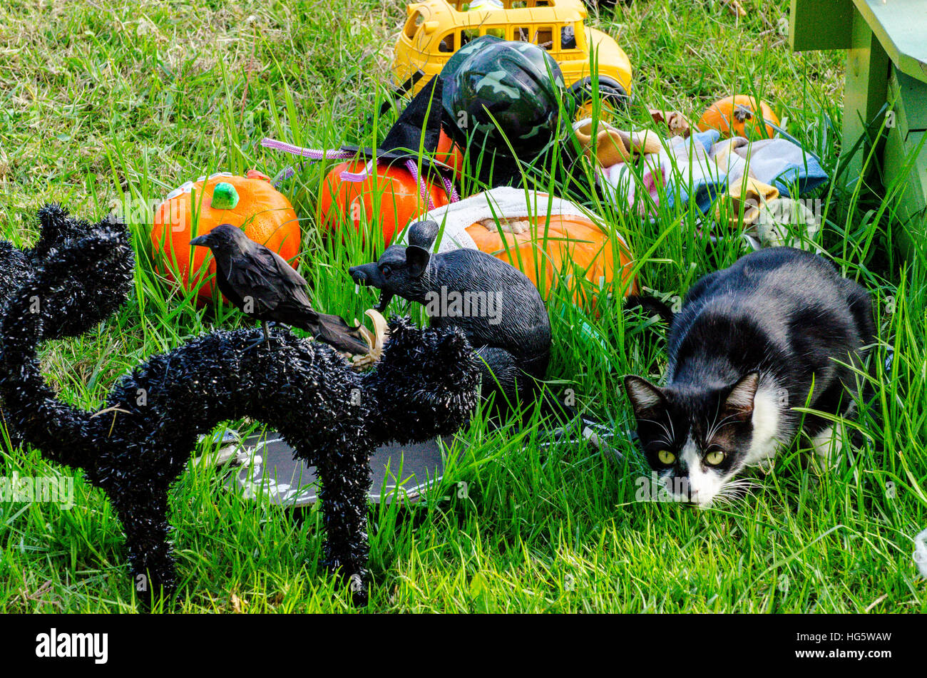 Butthead hi-res stock photography and images - Alamy