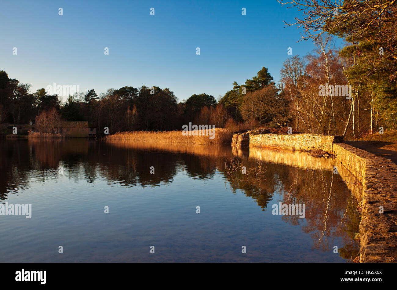 Frensham Little Pond High Resolution Stock Photography and Images - Alamy