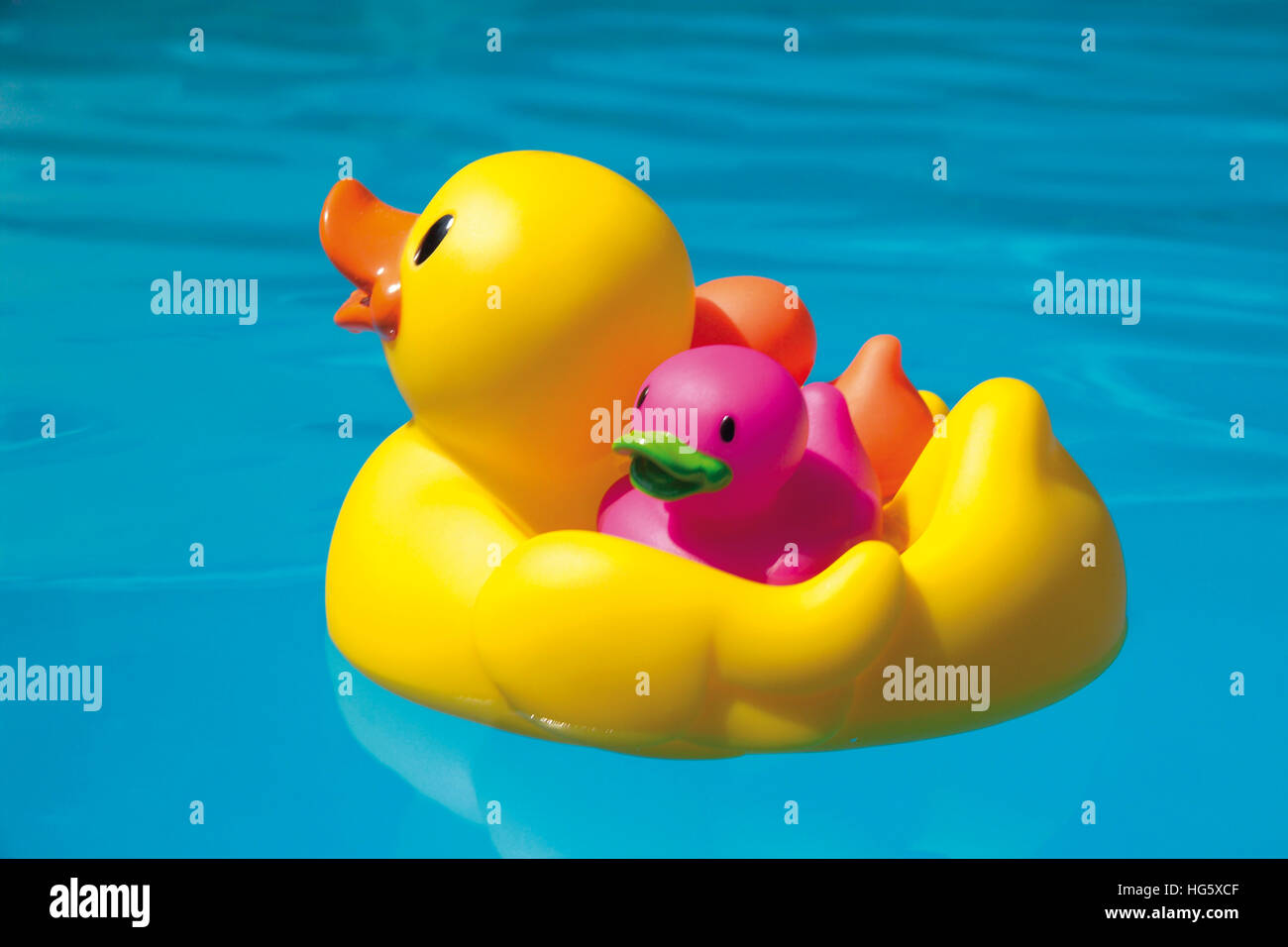 Rubber ducky with little rubber duckies on its back Stock Photo - Alamy