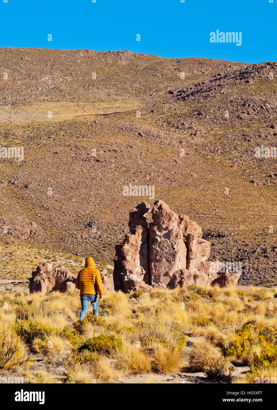 Bolivia, Potosi Departmant, Nor Lipez Province, Landscape of the Valle ...
