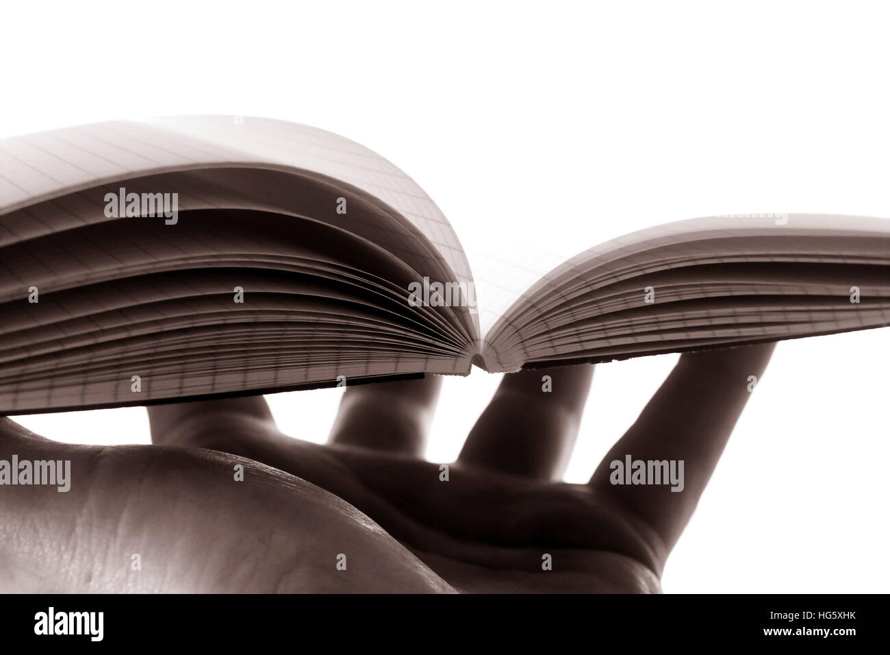 Hand holding an open book Stock Photo - Alamy
