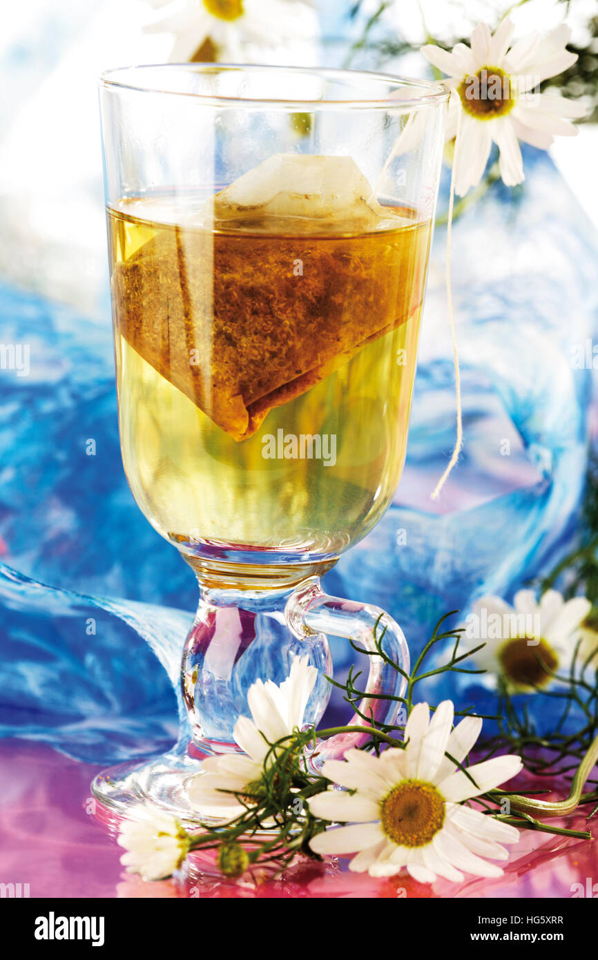 Chamomile tea with German Chamomile (Camomile) flowers (Matricariae ...