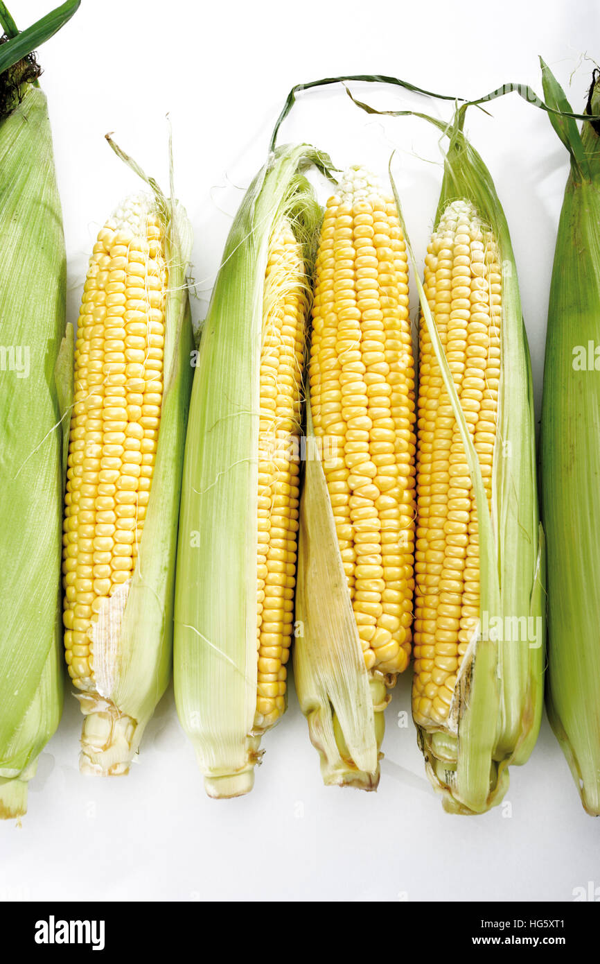 Empty corncob hi-res stock photography and images - Alamy