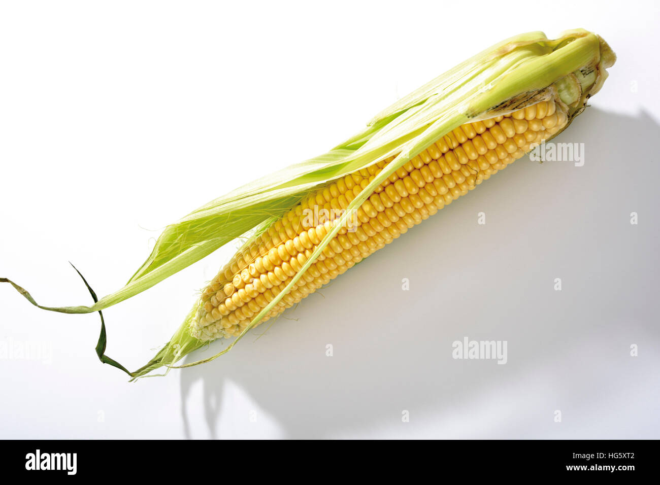 Empty corncob hi-res stock photography and images - Alamy
