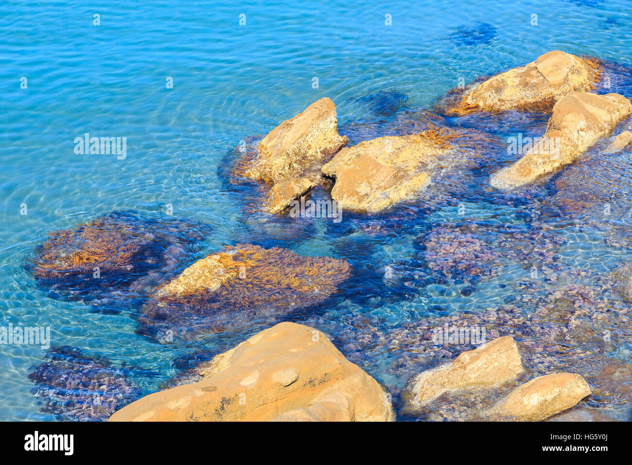 Stones in clear sea water Stock Photo - Alamy
