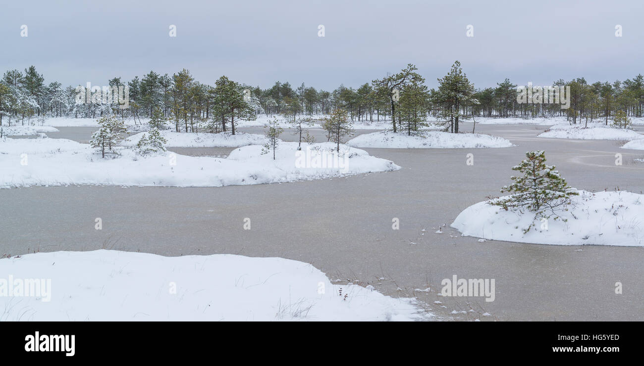 Frozen bog pool and snowy bog islands, Estonia Stock Photo - Alamy