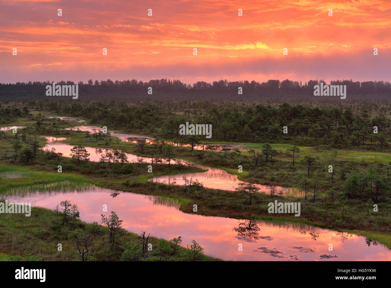 Sky swamp pond hi-res stock photography and images - Alamy