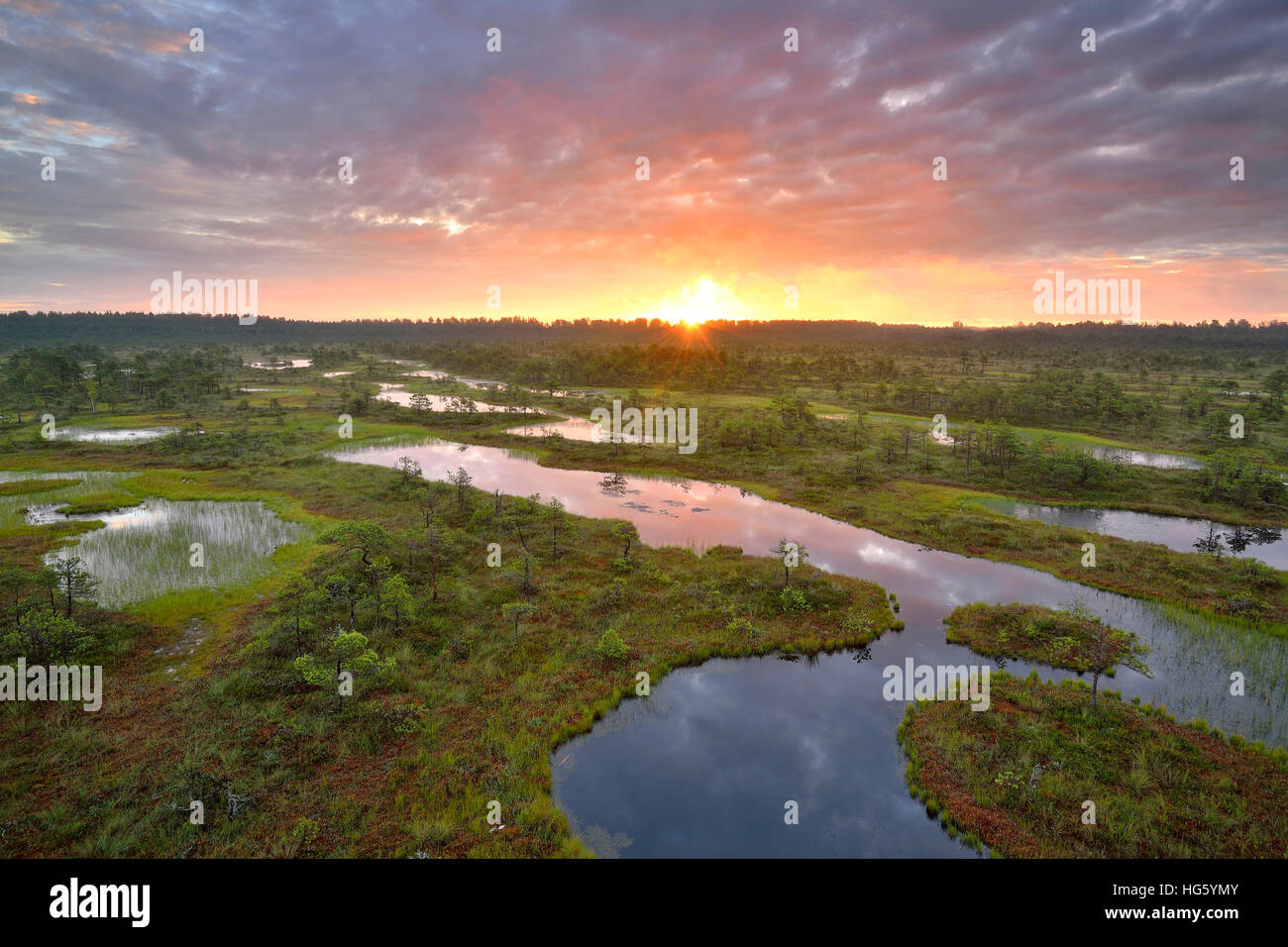 Sunrise in the swamp Stock Photo - Alamy