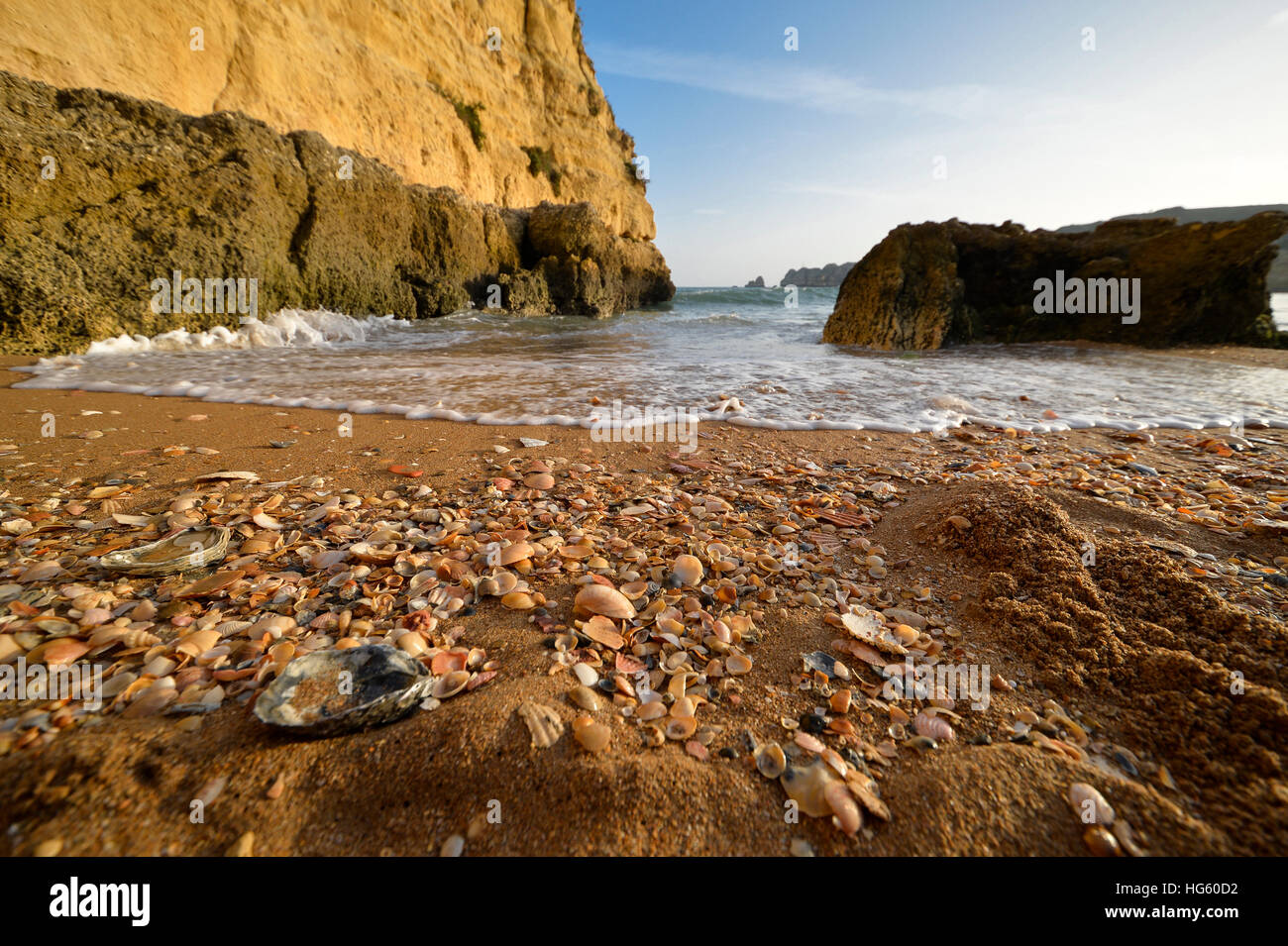 Portugal algarve sea shells beach hi-res stock photography and images ...
