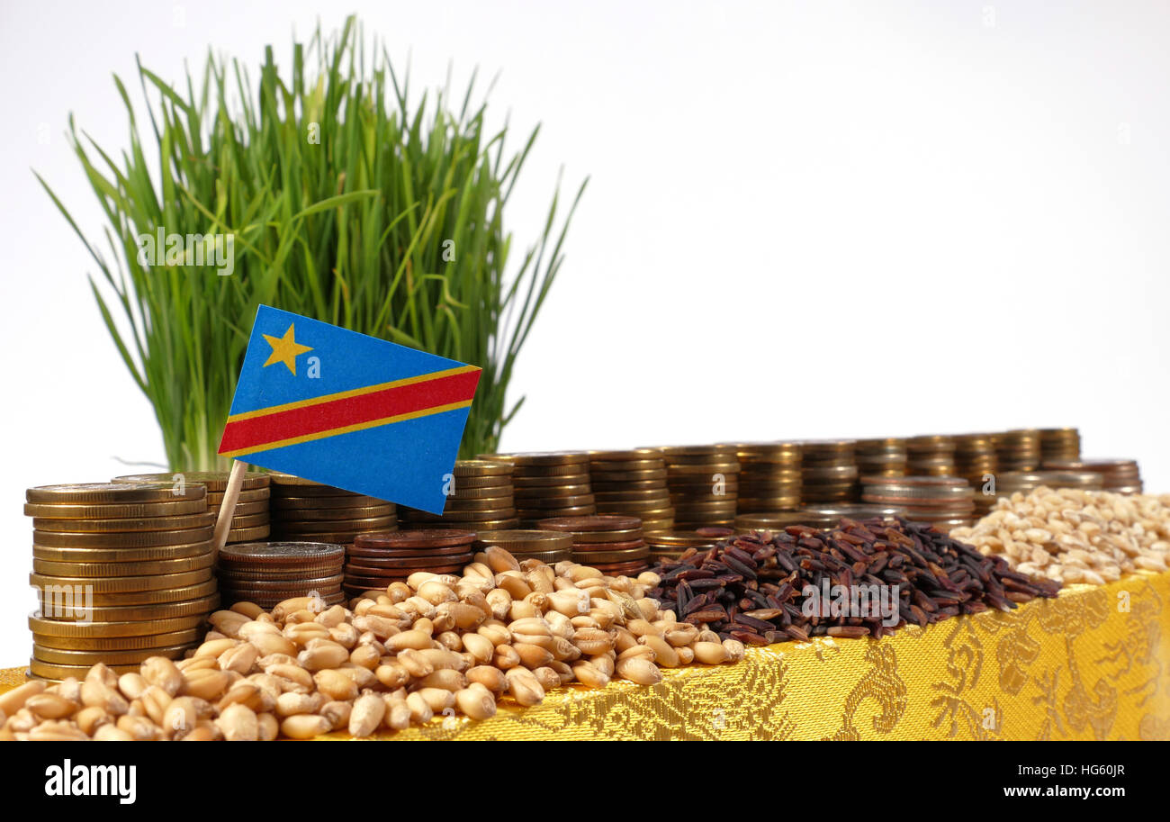 Democratic Republic of the Congo flag waving with stack of money coins ...