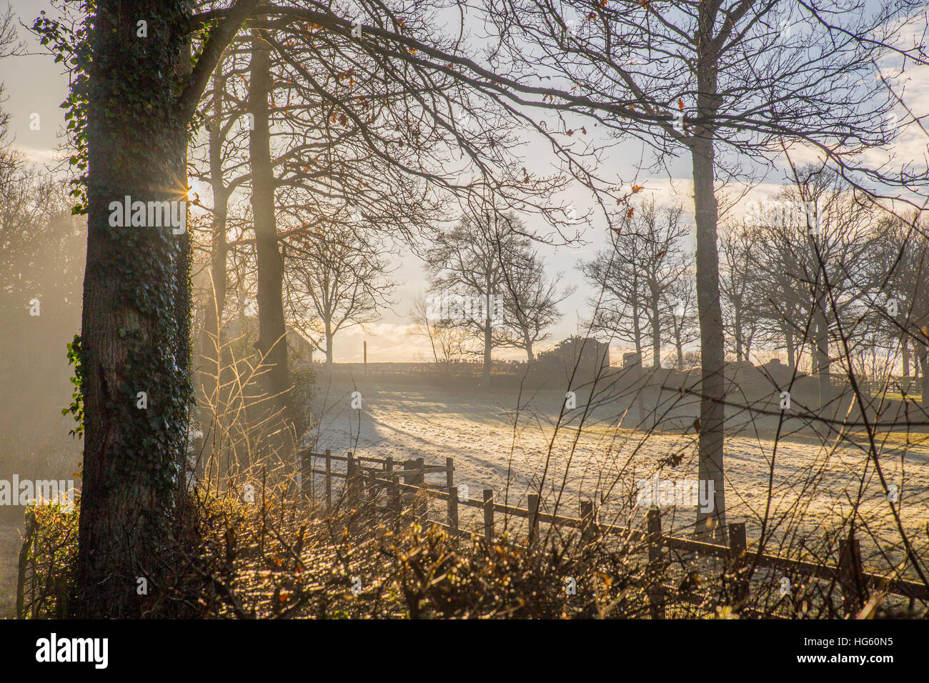 Ashdown forest hi-res stock photography and images - Alamy