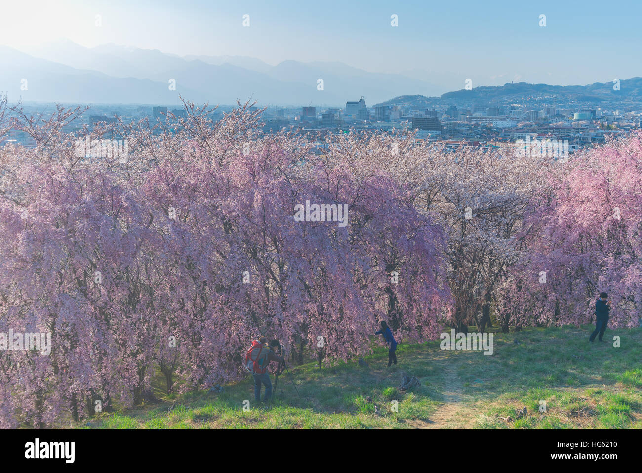 Nagano, Japan - April 14, 2014: Travelers visiting the Mount Kobo that ...