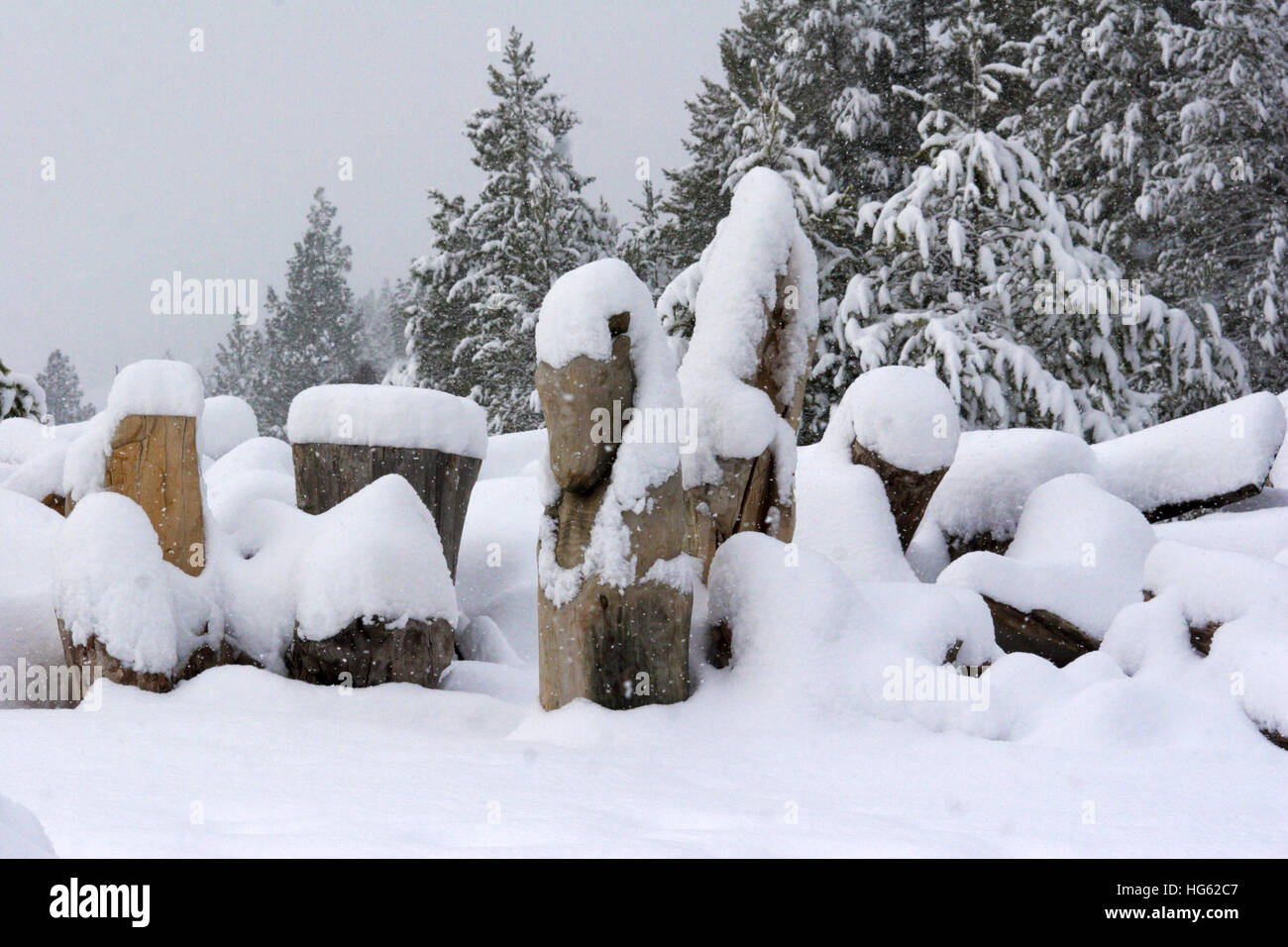 Wood pile covered with snow Stock Photo - Alamy