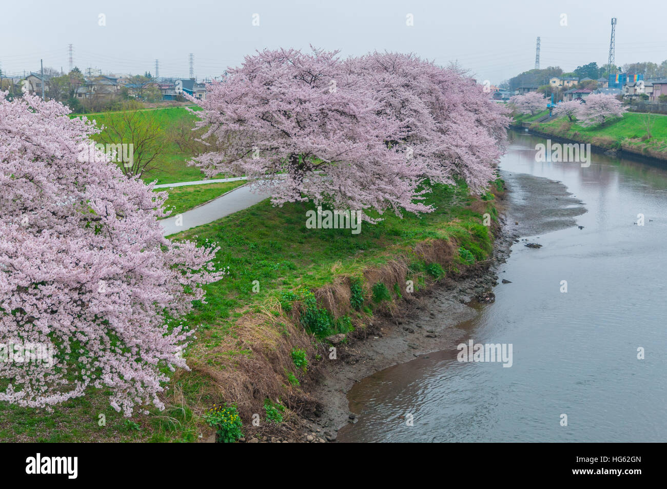 Satima hi-res stock photography and images - Alamy