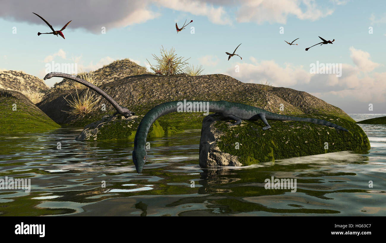 Tanystropheus fishes from the rocks Stock Photo - Alamy