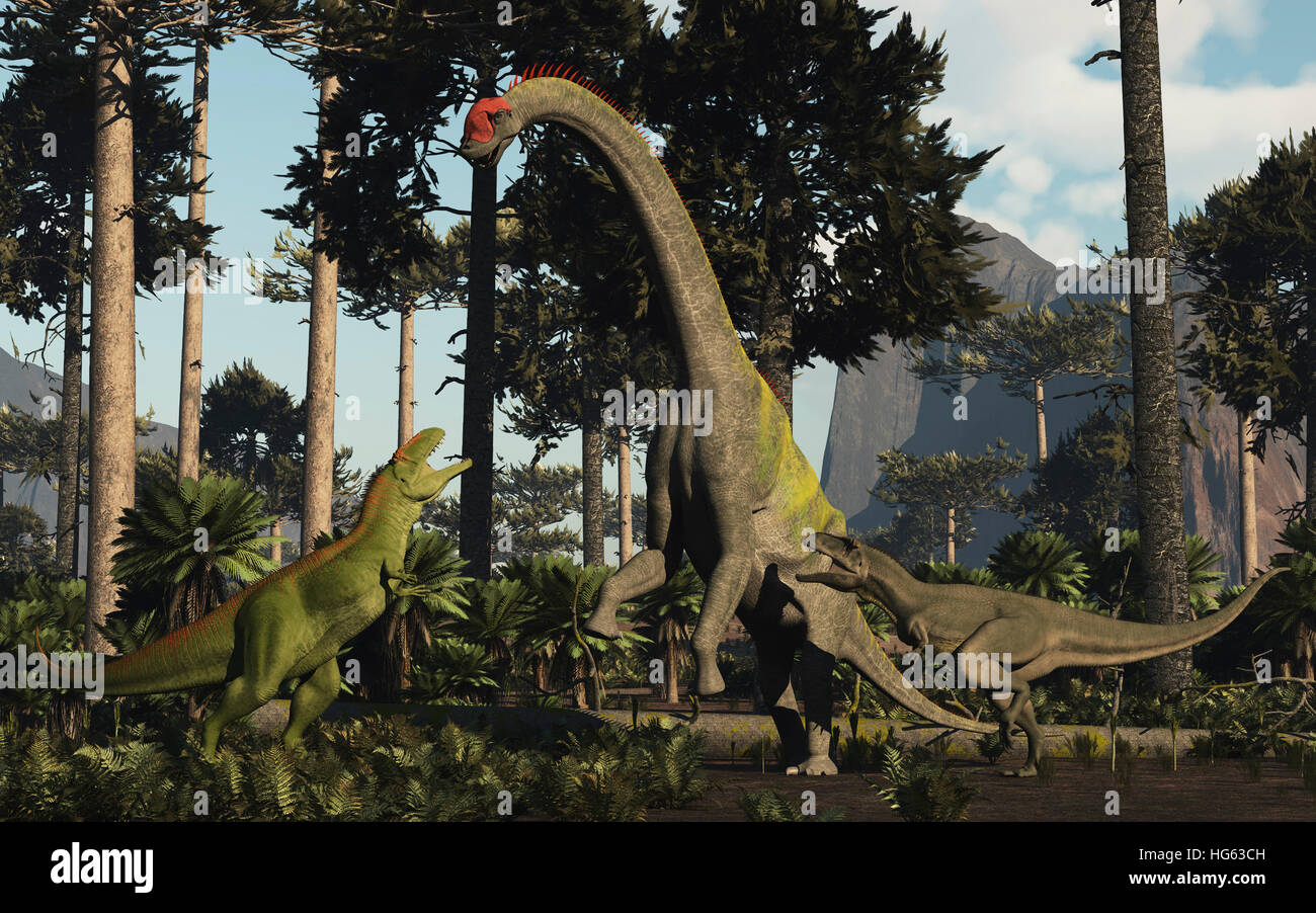 A large Chubutisaurus is a attacked by a pair of Tyrannotitans Stock ...