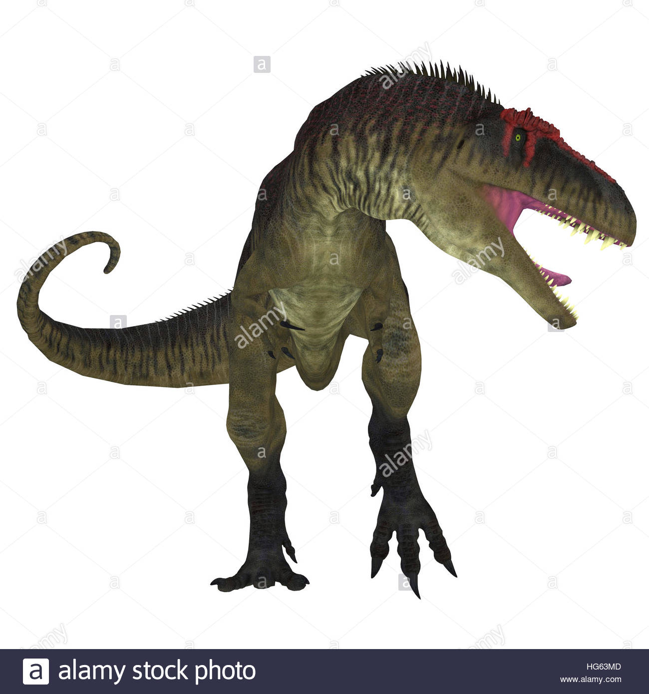 Tyrannotitan dinosaur Stock Photo: 130441709 - Alamy