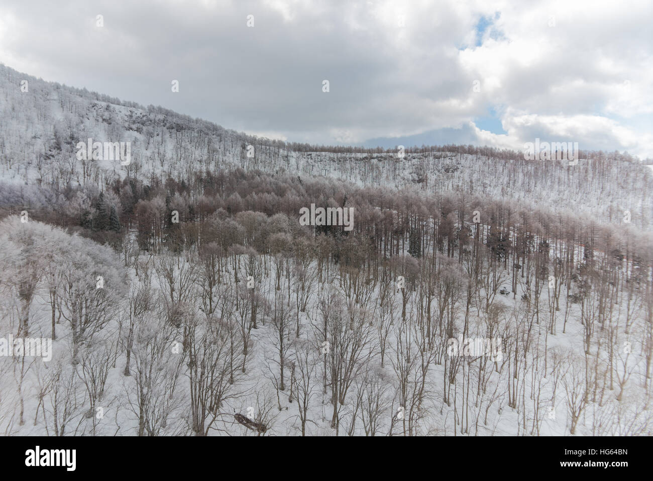 Winter landscape in the Mount Zao that located on the Yamagata-Miyagi ...