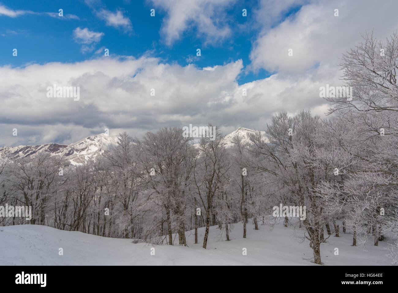 Winter landscape in the Mount Zao that located on the Yamagata-Miyagi ...