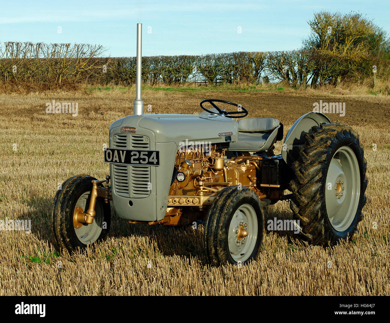 1957 Ferguson Grey-Gold FE-35 tractor Stock Photo - Alamy