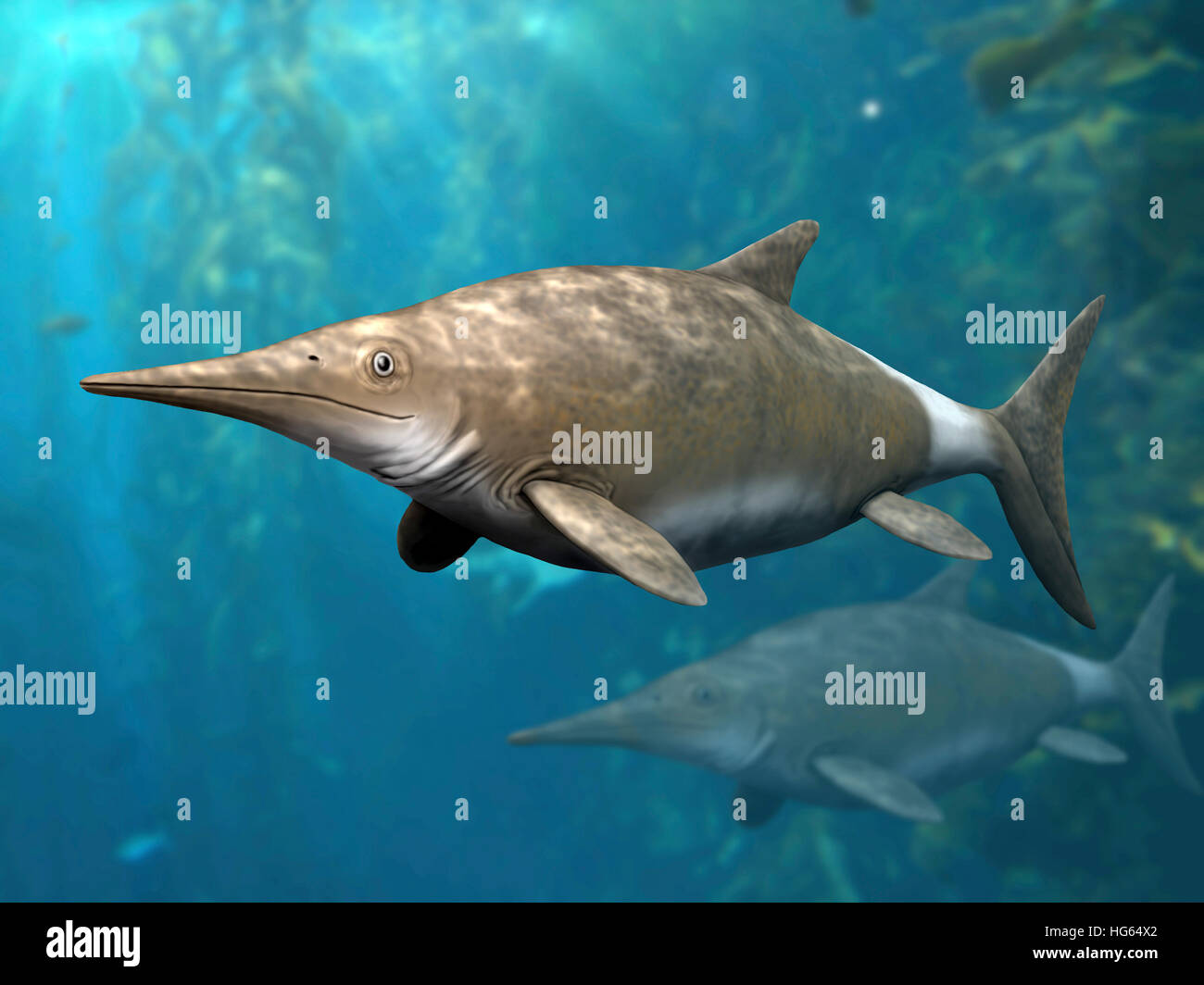Ichthyosaur hi-res stock photography and images - Alamy