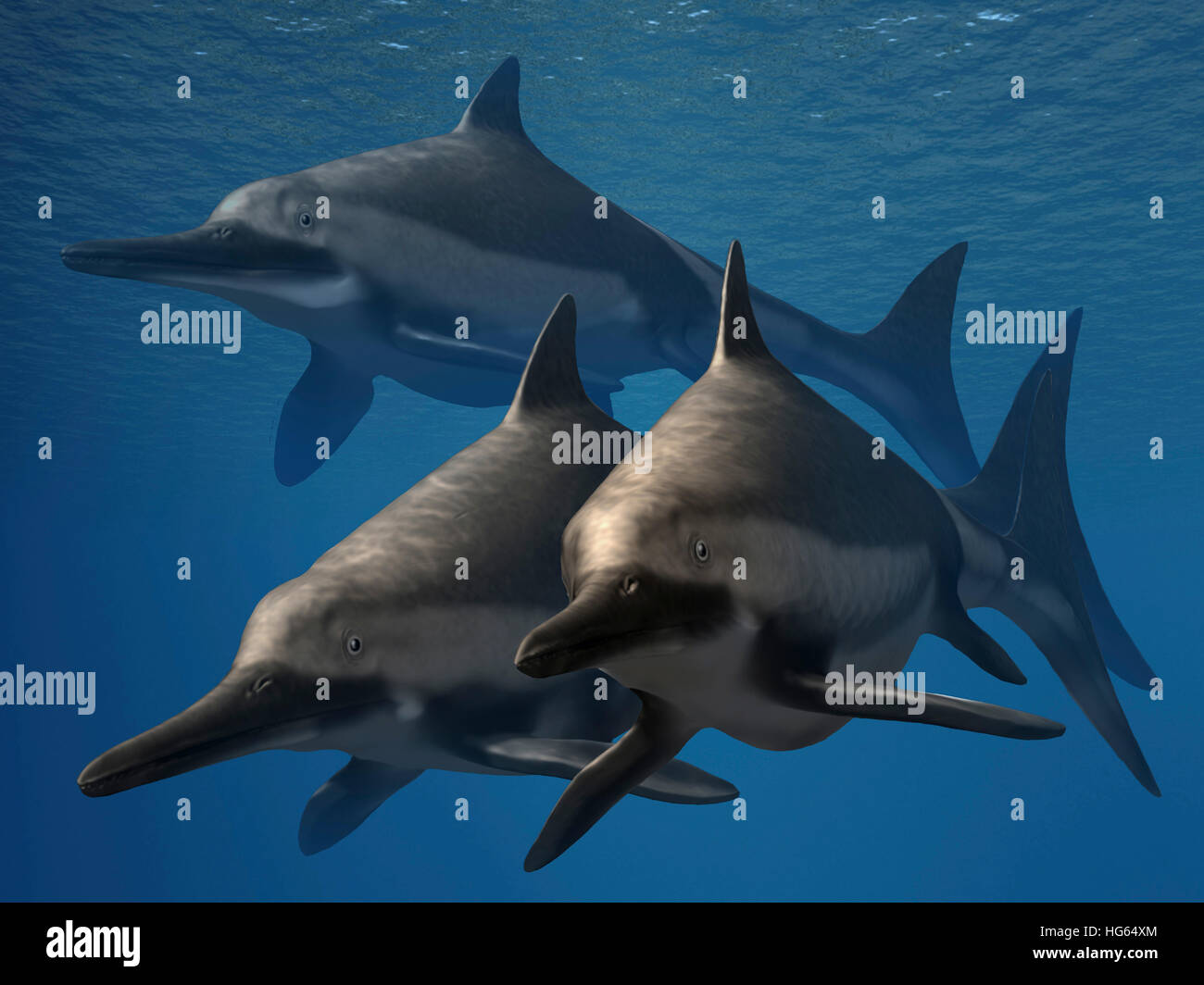 Ichthyosaurus hi-res stock photography and images - Alamy