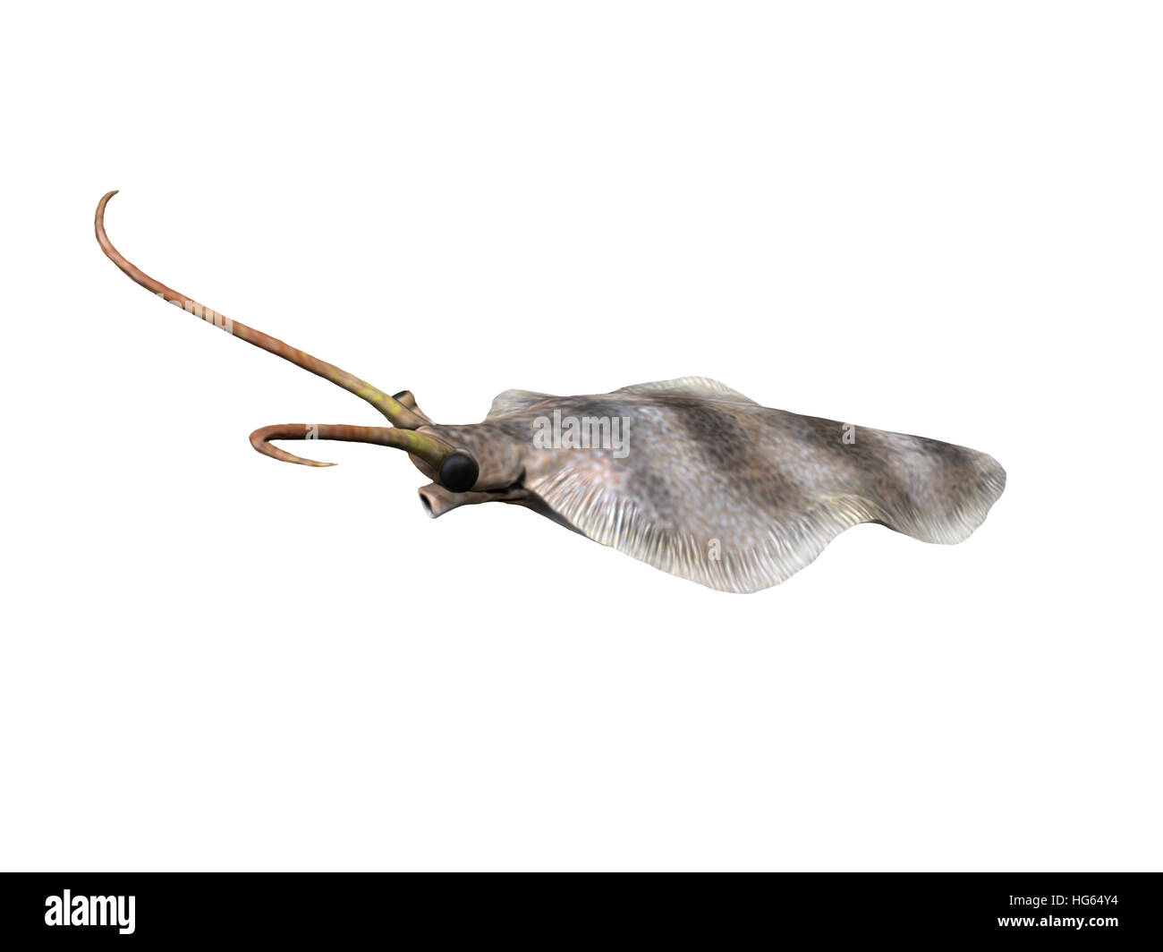 Image from life history Cut Out Stock Images & Pictures - Alamy