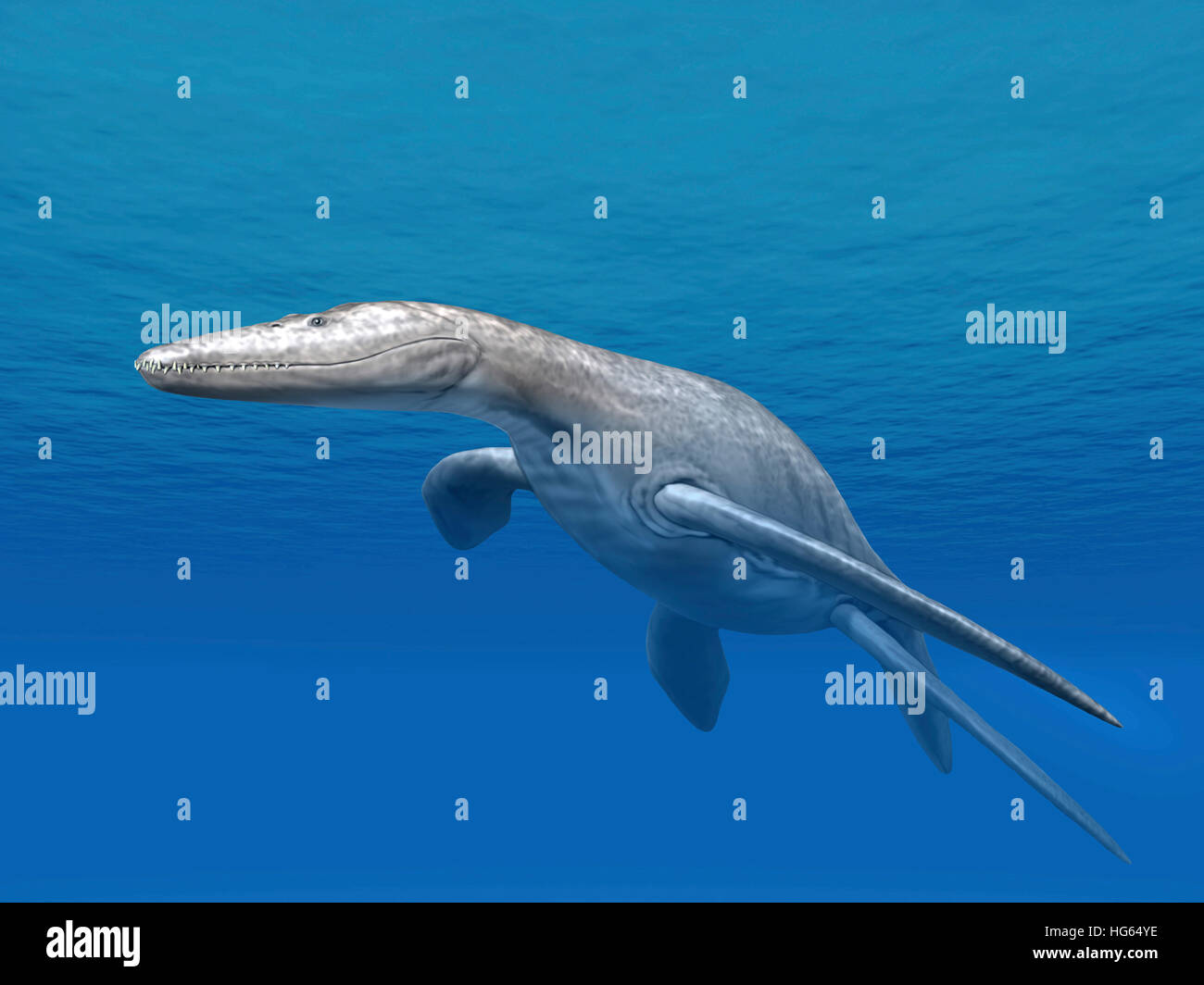 Simolestes vorax hi-res stock photography and images - Alamy