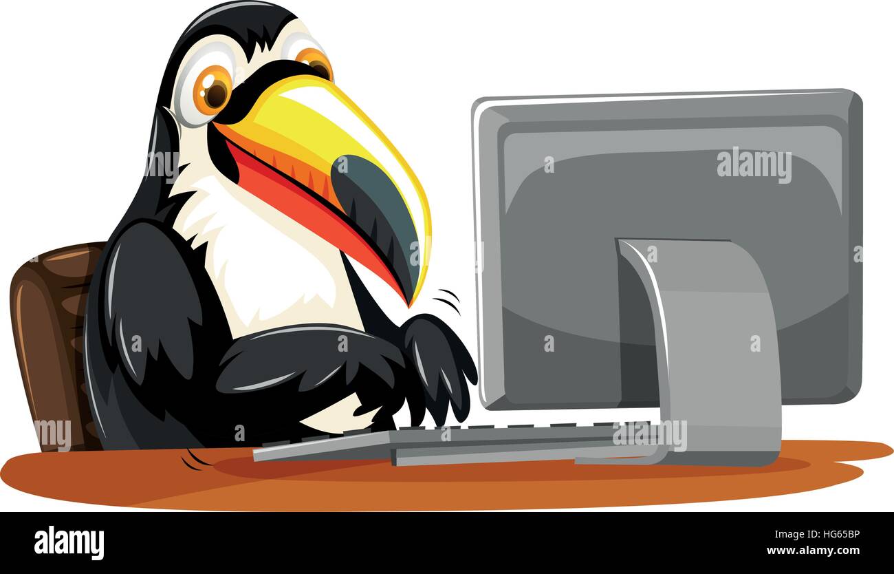 Toucan typing on keyboard illustration Stock Vector Image & Art - Alamy