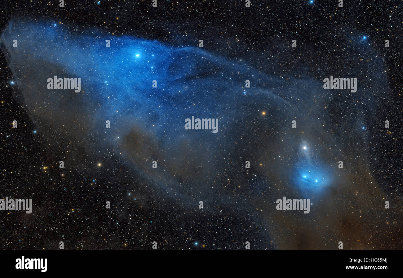 Reflection nebula IC 4601 in the constellation Scorpius Stock Photo - Alamy
