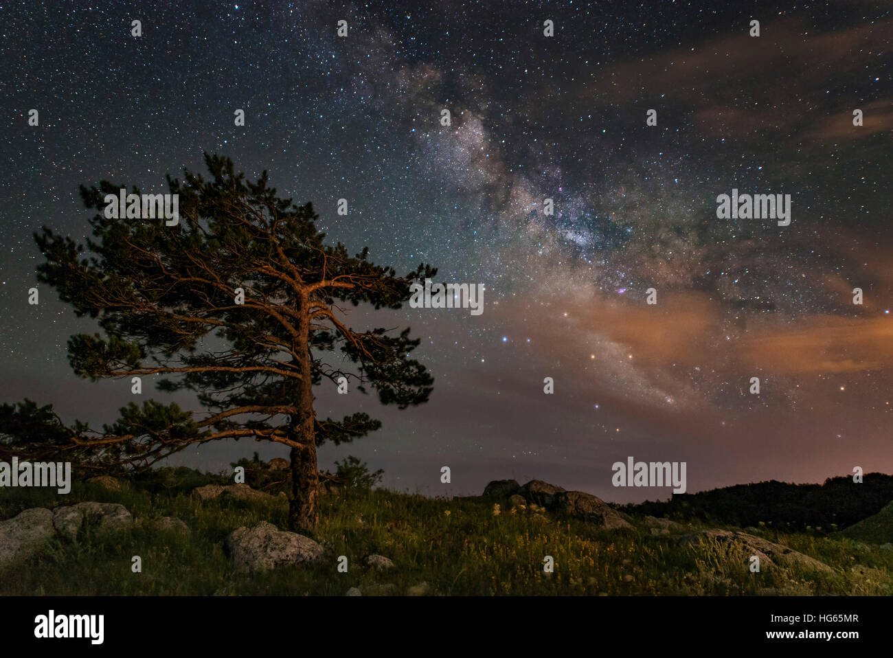 A lone tree on top of a mountain under the stars and Milky Way, Crimea ...