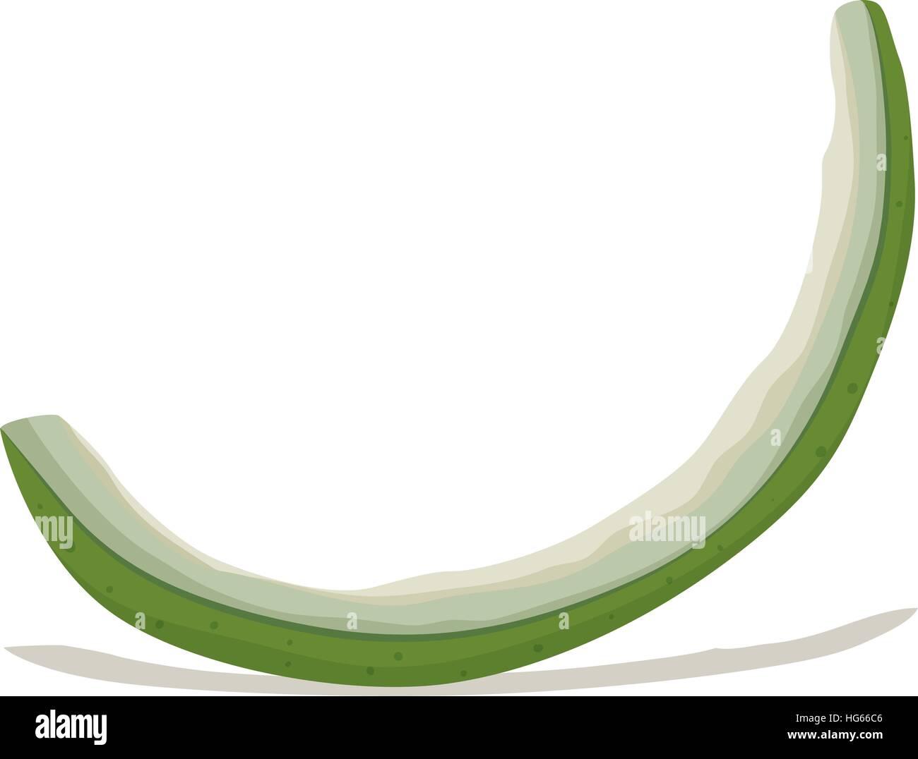 Watermelon skin on the floor illustration Stock Vector Image & Art - Alamy