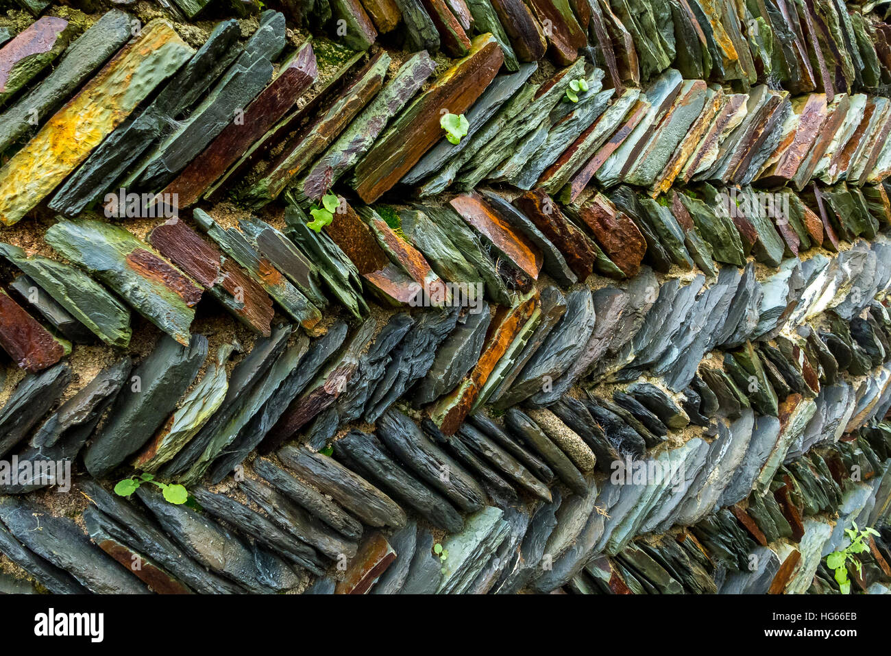 Traditional Cornish slate-built wall filled with colour Stock Photo - Alamy