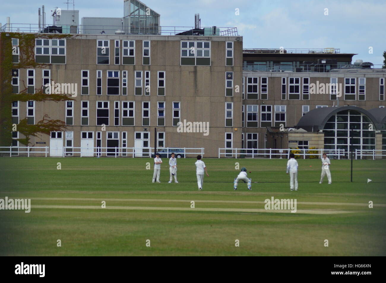 Group of boys at cricket practice Stock Photo - Alamy