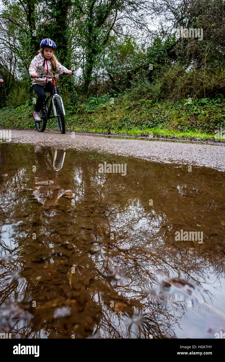 Cyclist on the Camel Trail in Cornwall Stock Photo - Alamy