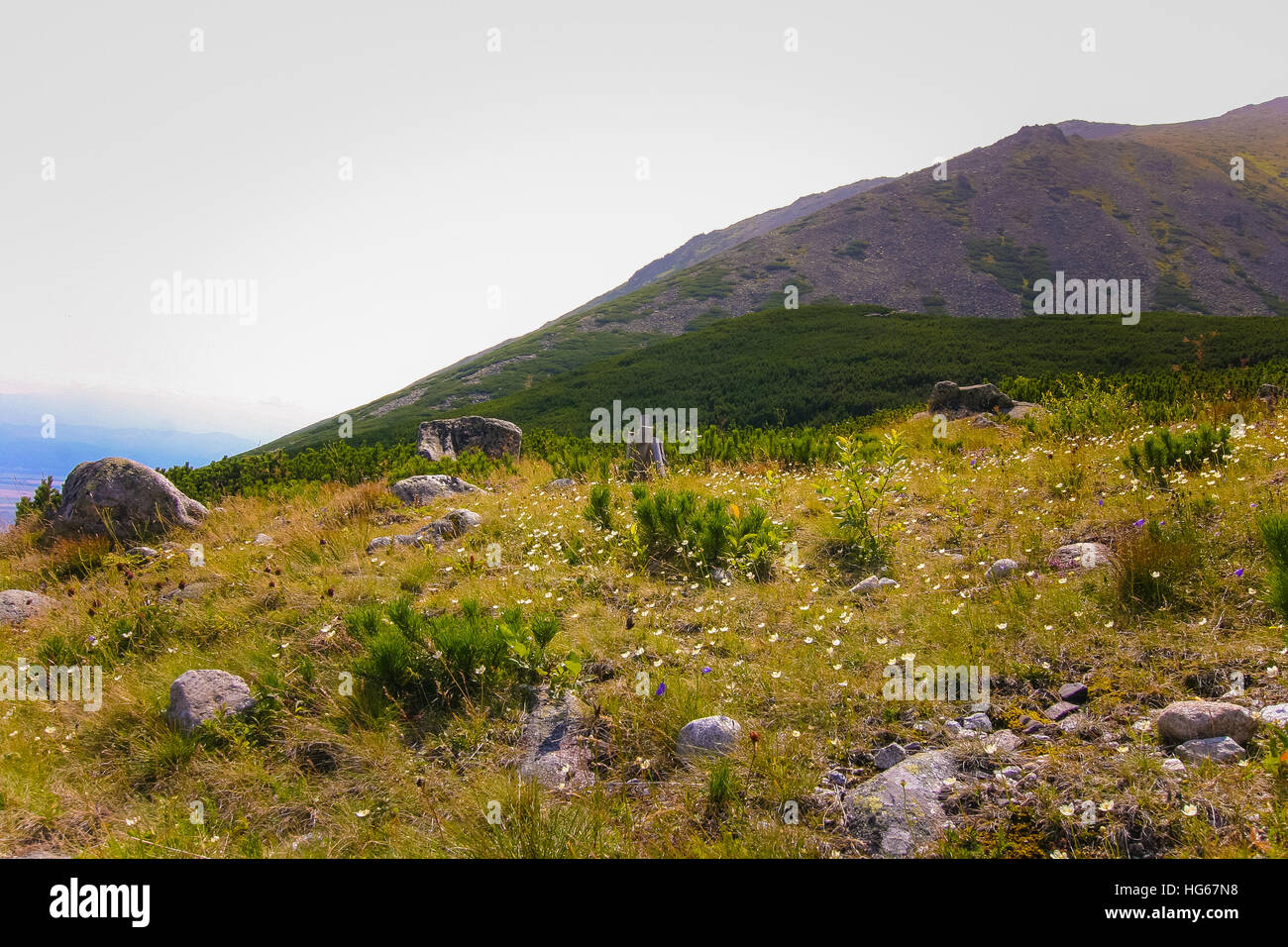 A beautiful mountain landscape above tree line Stock Photo - Alamy